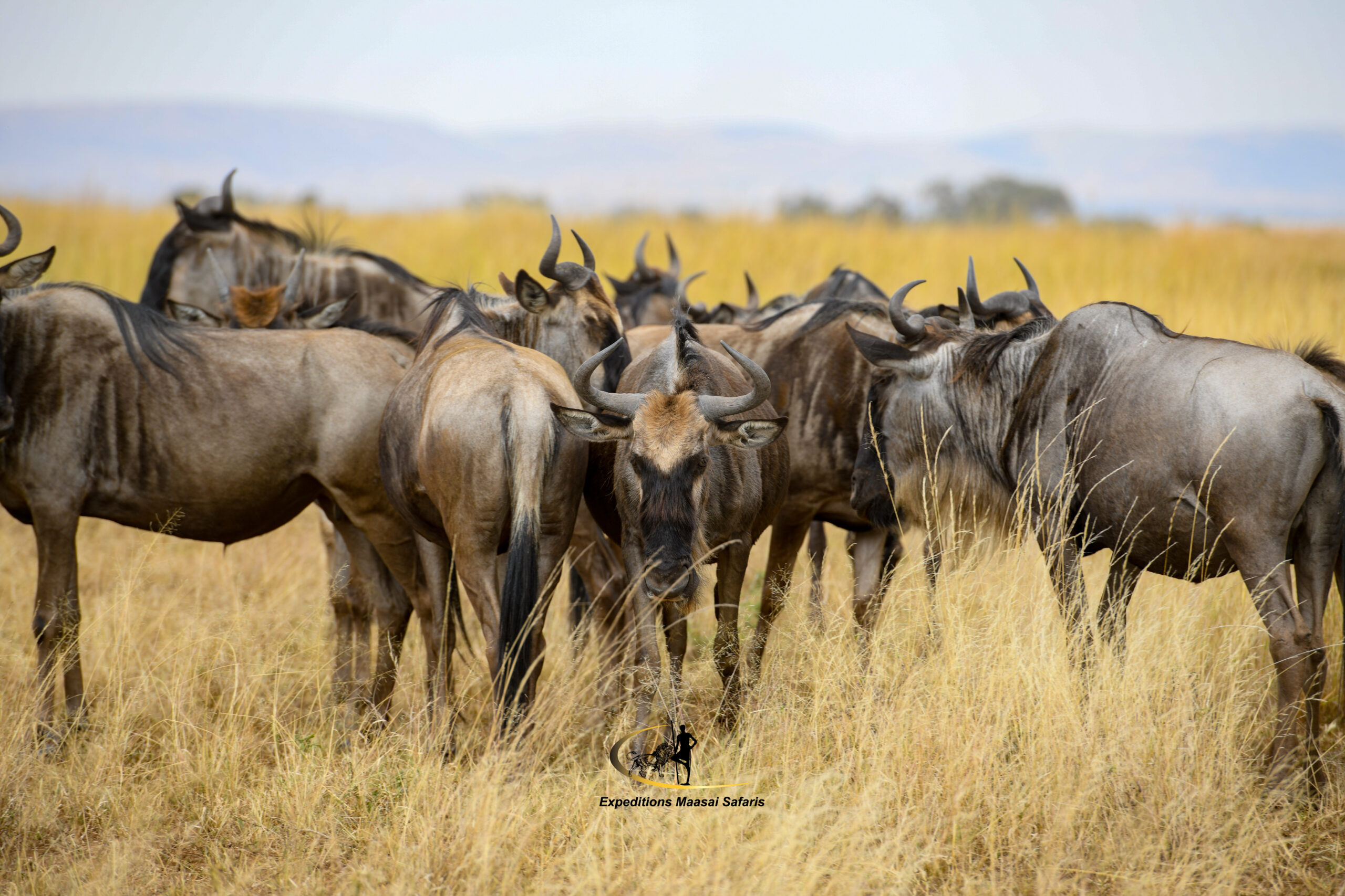 Tips on How to Align Your Travel Lifestyle With a Passion for Nature